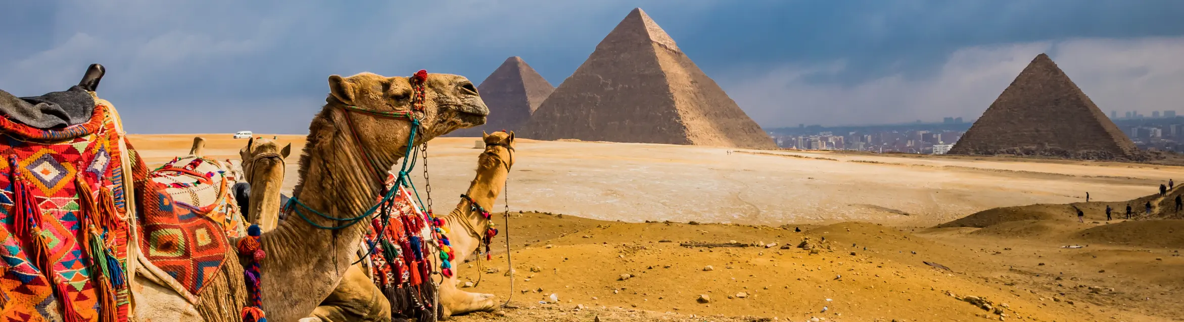 Top Attractions of Cairo with Osha Tours